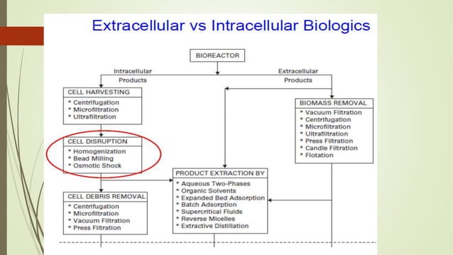 Downstream processing, homogenizing, microfiltration & hplc | PPTX ...