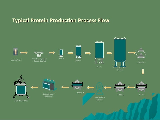 Downstream Processing in Biopharmaceuticals