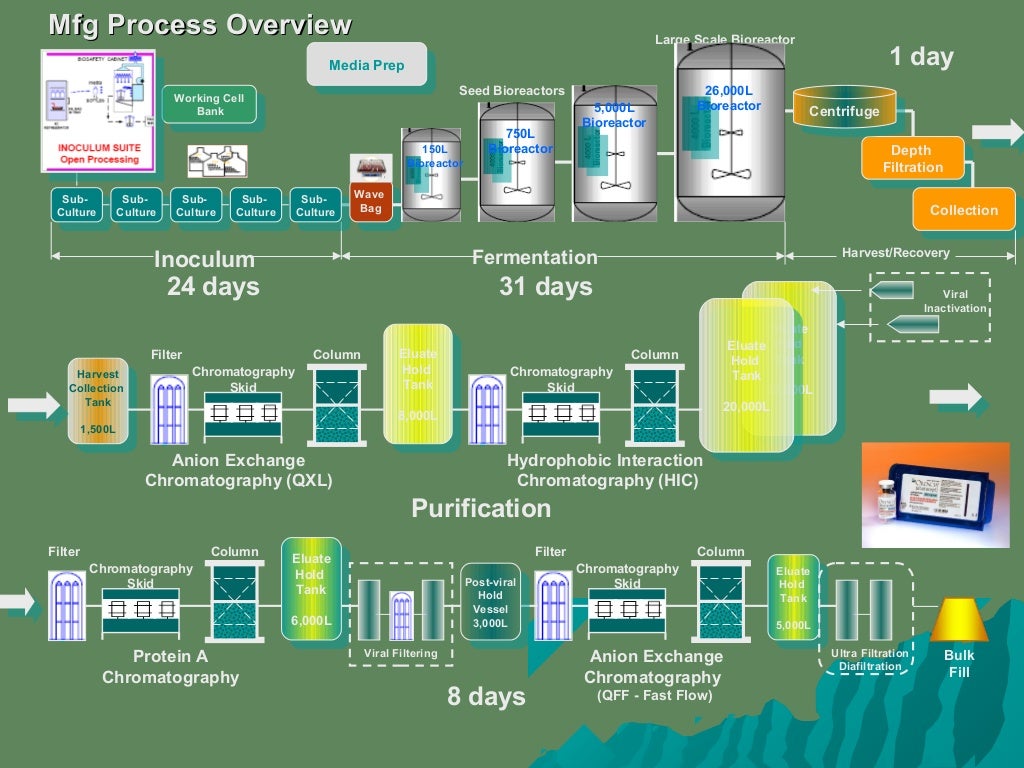 Downstream Processing in Biopharmaceuticals