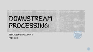 DOWNSTREAM PROCESSING MHANGWA.pdf