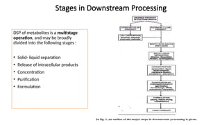 Downstream Processing (Recovery of Microbial Cells) | PPTX