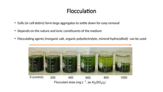Downstream Processing (Recovery of Microbial Cells) | PPT