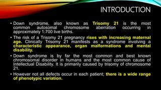 Down Syndrome | PPTX