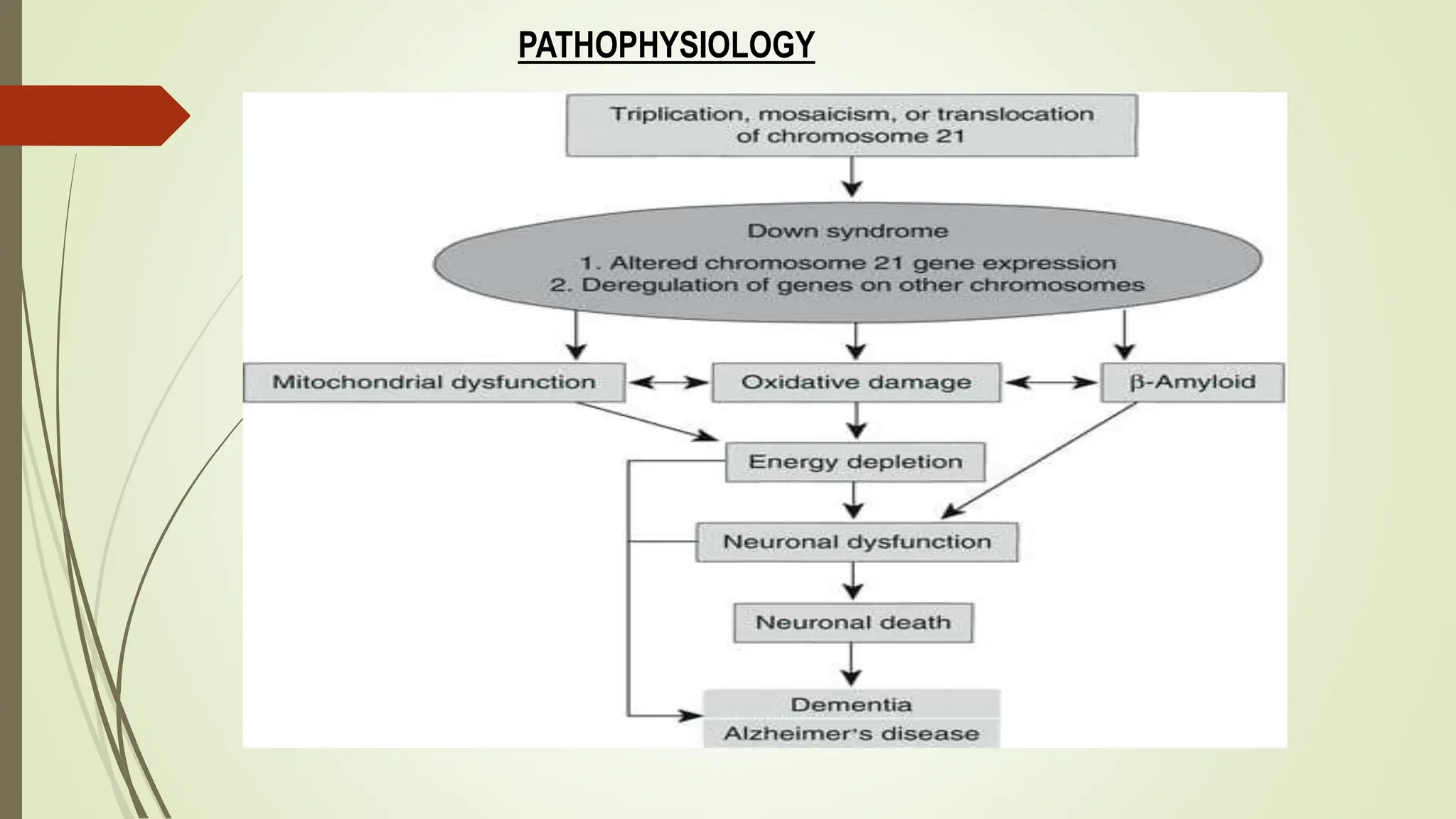 DOWN SYNDROME: introduction, definition, types,etiology ...