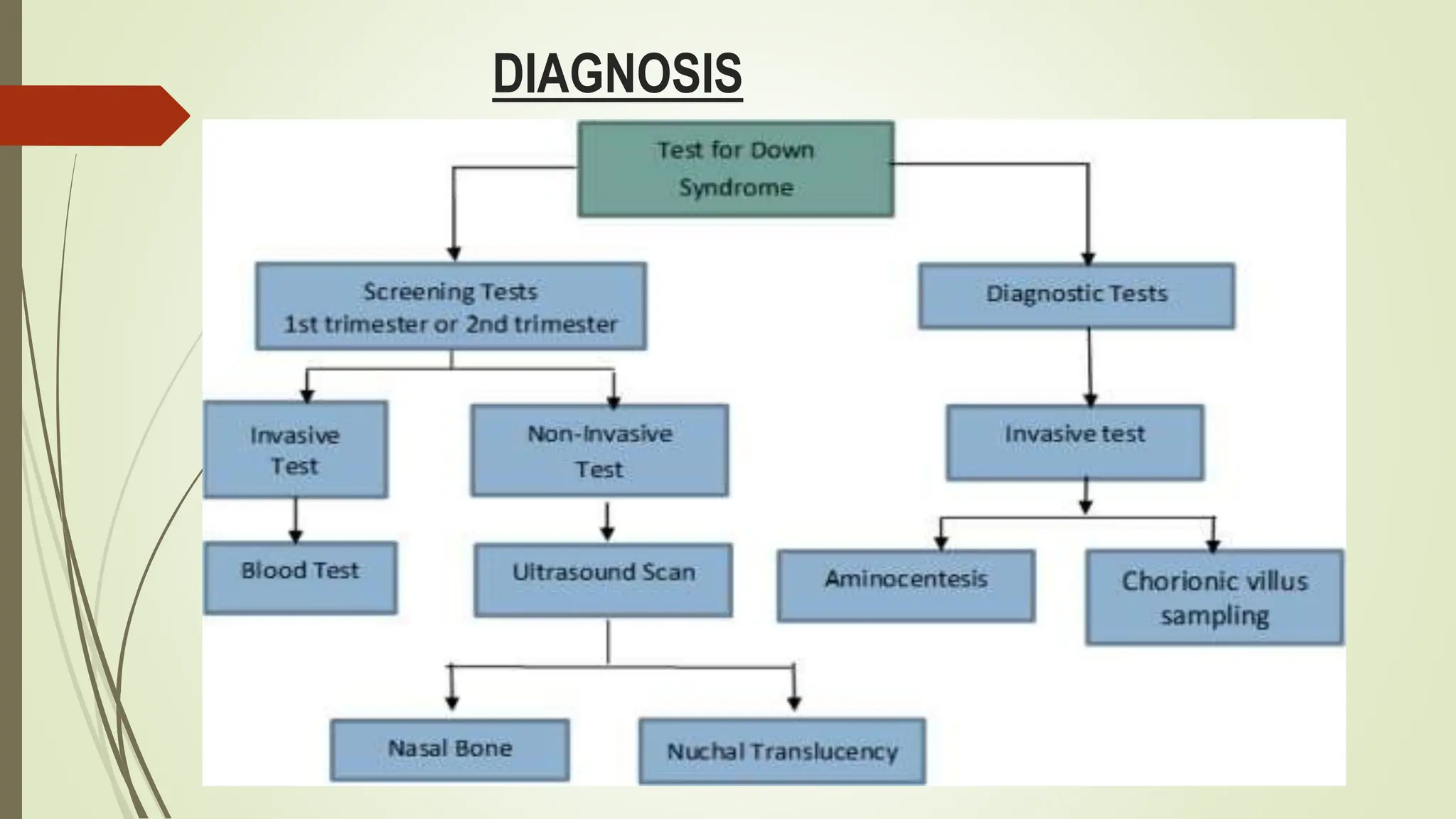 DOWN SYNDROME: introduction, definition, types,etiology, pathophysiology, clinical ...