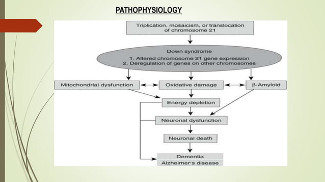 DOWN SYNDROME: introduction, definition, types,etiology ...