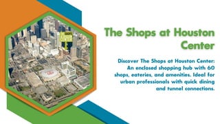 Downtown Houston Shopping & Trends Guide 2024 | PDF