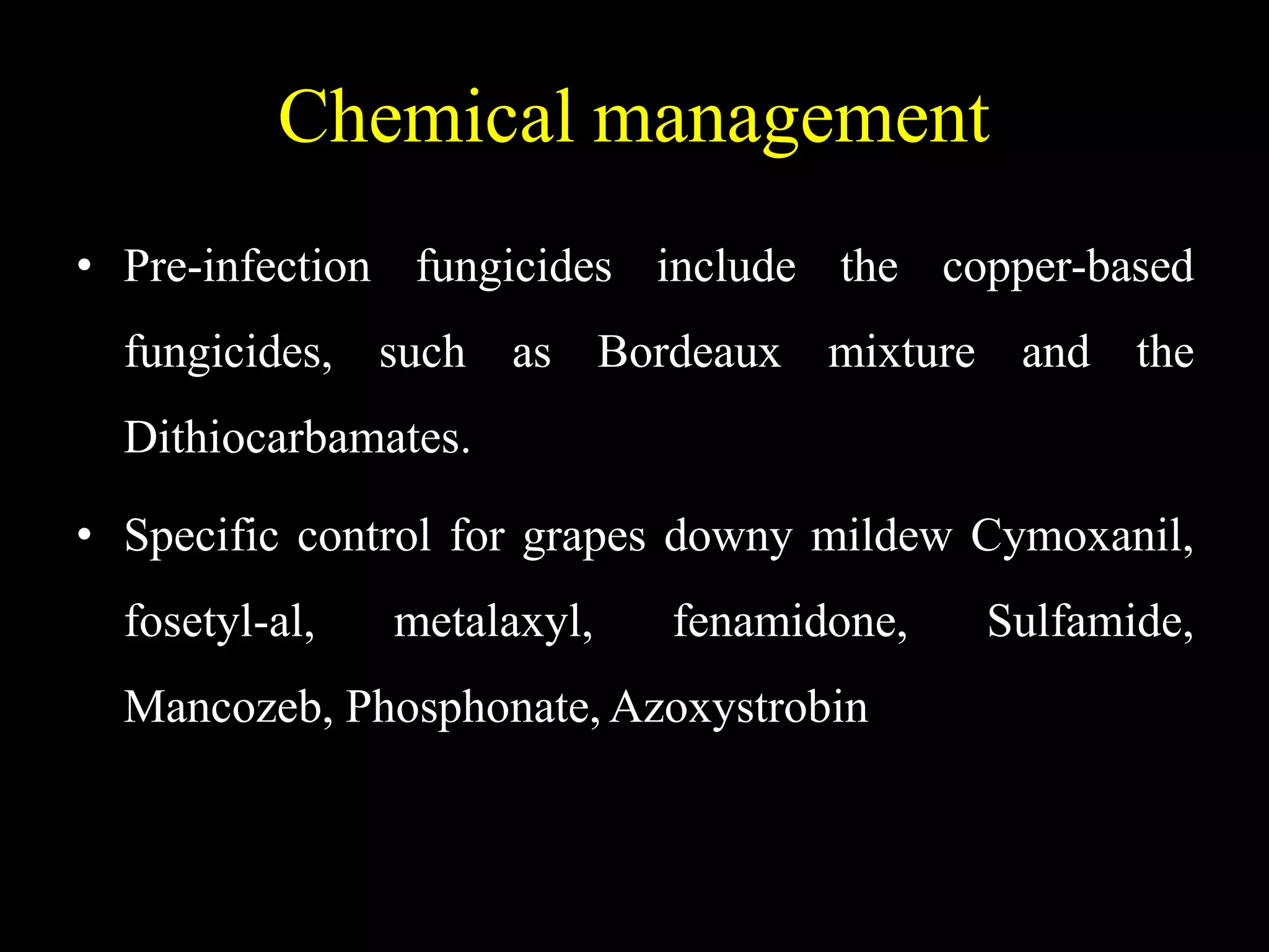 Downy mildew of Grapes | PPTX