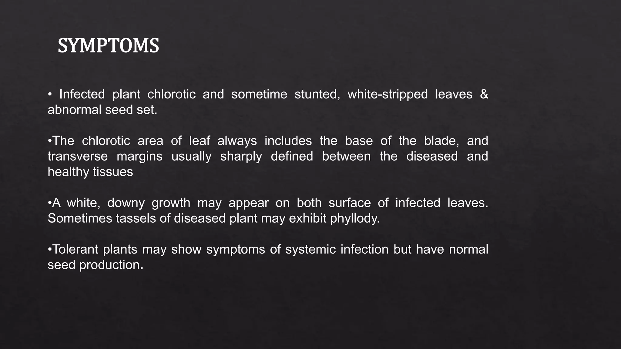 DOWNY MILDEW FUNGI PART -3.pptx
