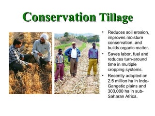 Sasakawa Africa Association, Chris Dowswell | PPT