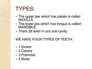 Do you know about your teeth | PPT