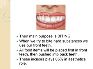Do you know about your teeth | PPT