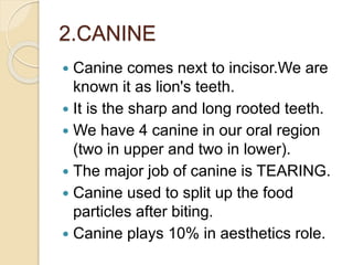 Do you know about your teeth | PPT