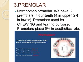 Do you know about your teeth | PPT