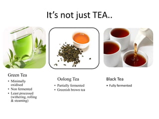 Do you know tea ? | PPTX | Food & Drink