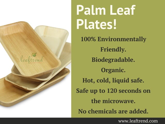Do you know the plastic plate alternatives? | PDF