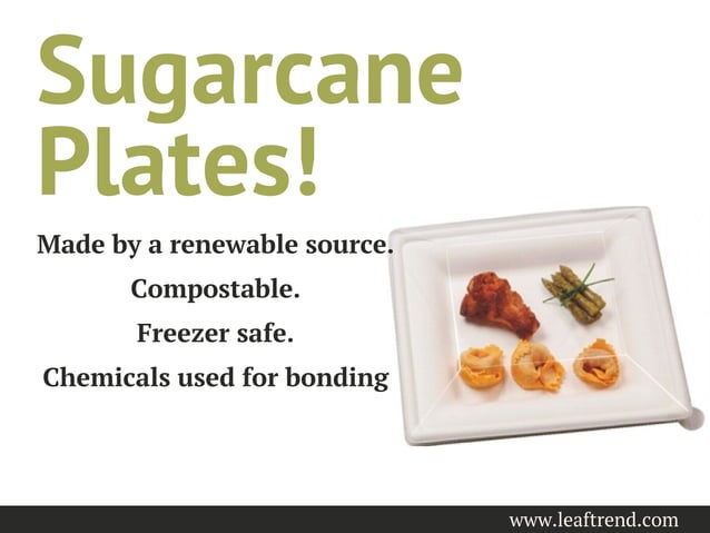 Do you know the plastic plate alternatives? | PDF