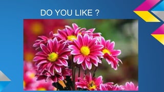 ESL - Do You Like....? | PPTX