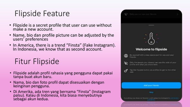 Flipside Feature by Instagram, Yay or Nay? | PPT