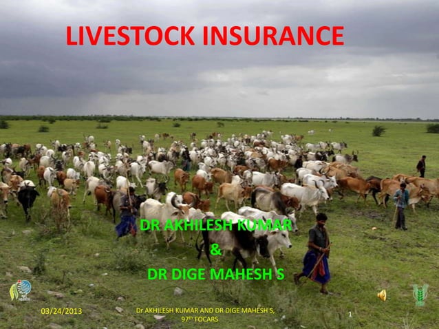 Livestock insurance | PPTX