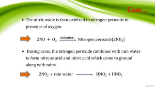 Nitrogen Fixation | PPTX