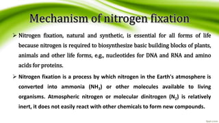 Simple Nitrogen Fixation