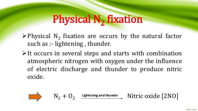 Nitrogen Fixation