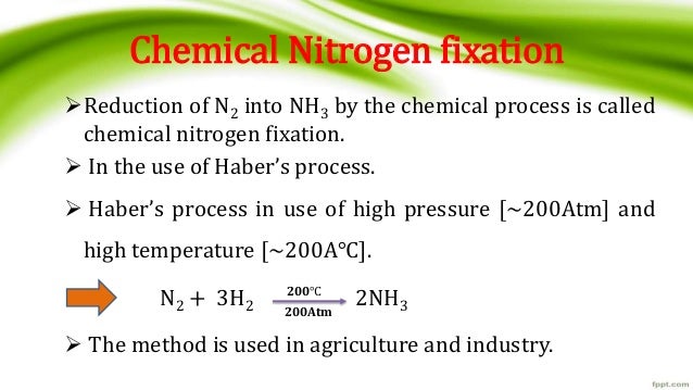 Nitrogen Cycle Bioninja
