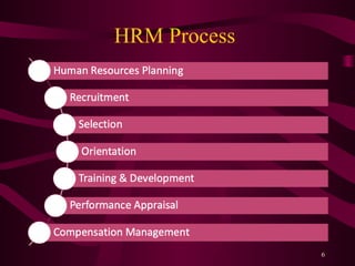 Human Resource Practices in Software Company Presentation | PPT