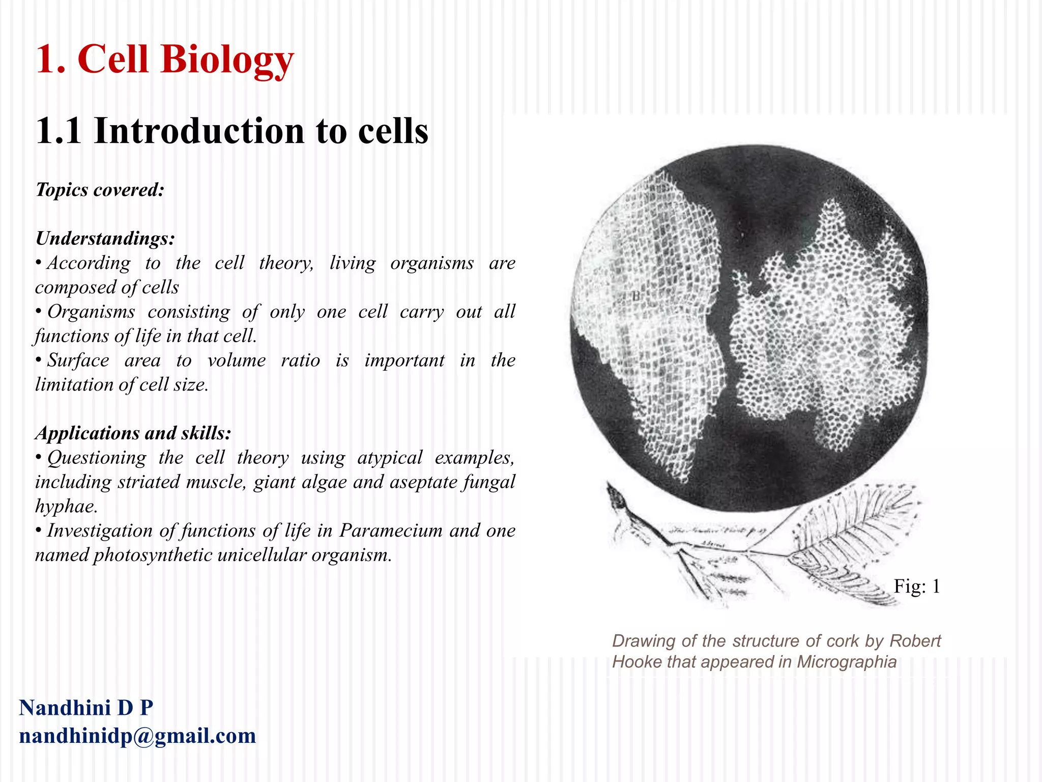 IB Diploma Program - Biology - Topic 1 Cell Biology | PPTX