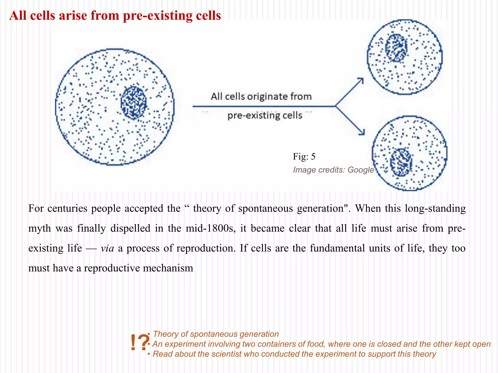 IB Diploma Program - Biology - Topic 1 Cell Biology | PPTX