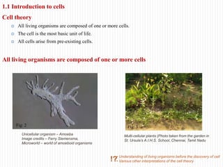IB Diploma Program - Biology - Topic 1 Cell Biology | PPTX