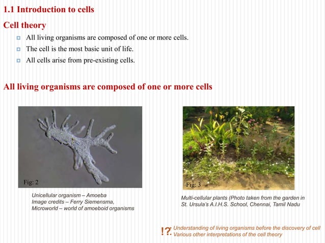IB Diploma Program - Biology - Topic 1 Cell Biology | PPTX