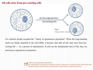 IB Diploma Program - Biology - Topic 1 Cell Biology | PPTX