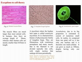 IB Diploma Program - Biology - Topic 1 Cell Biology | PPTX