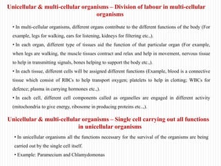 IB Diploma Program - Biology - Topic 1 Cell Biology | PPTX