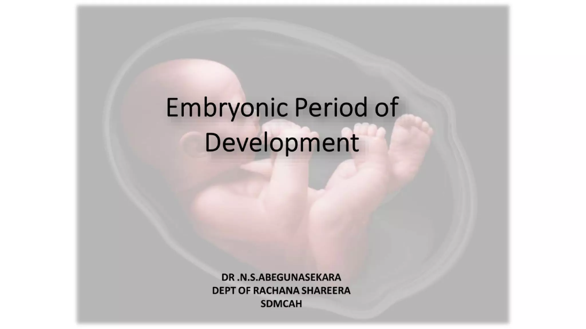 Embryonic period of development | PPTX