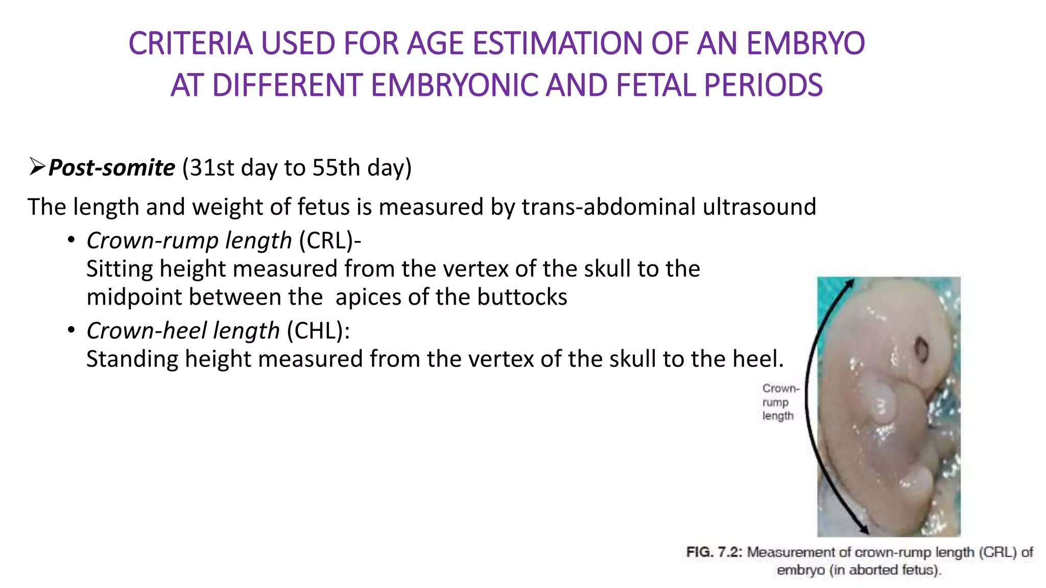 Embryonic period of development | PPTX