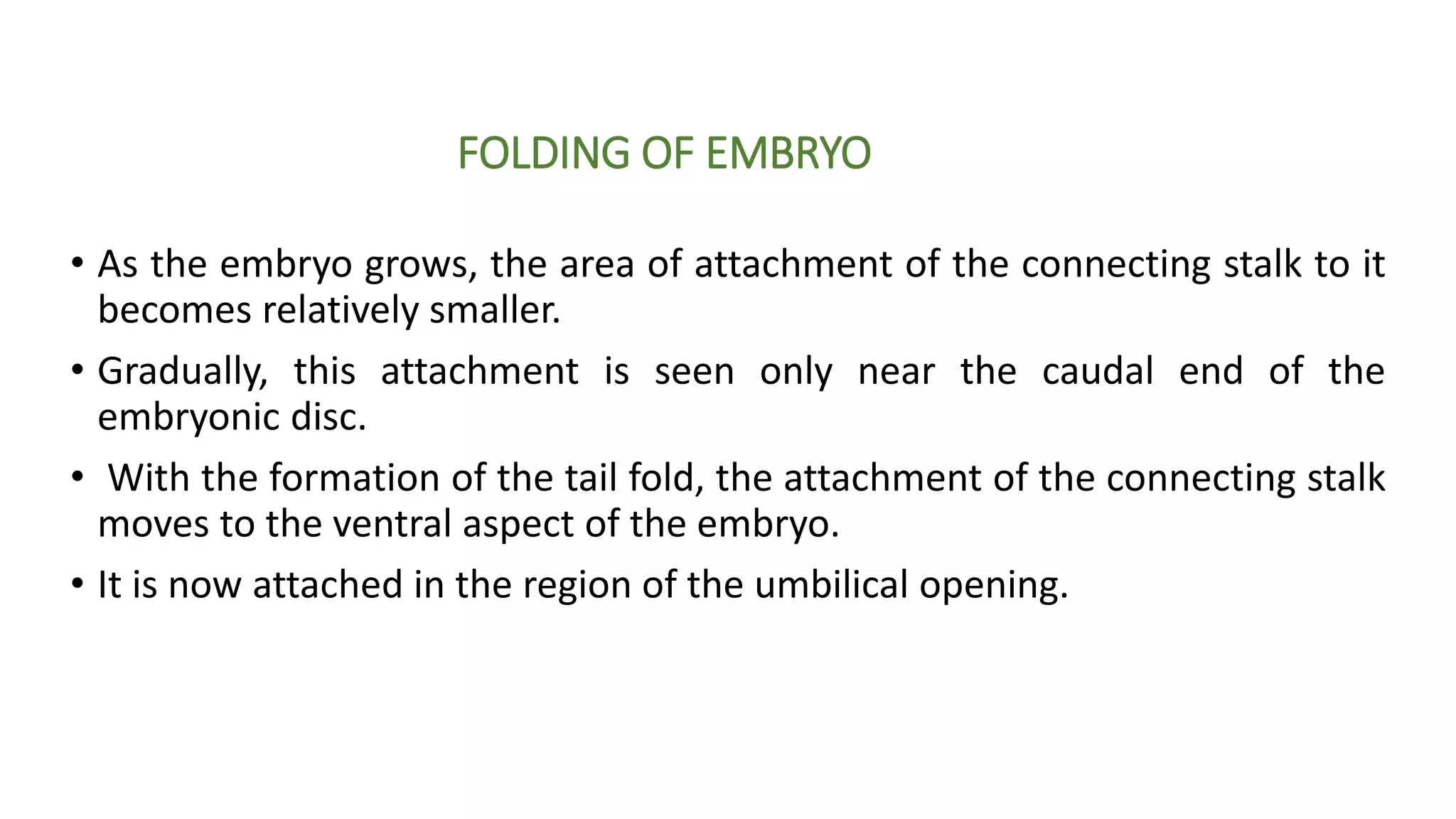 Embryonic period of development | PPTX
