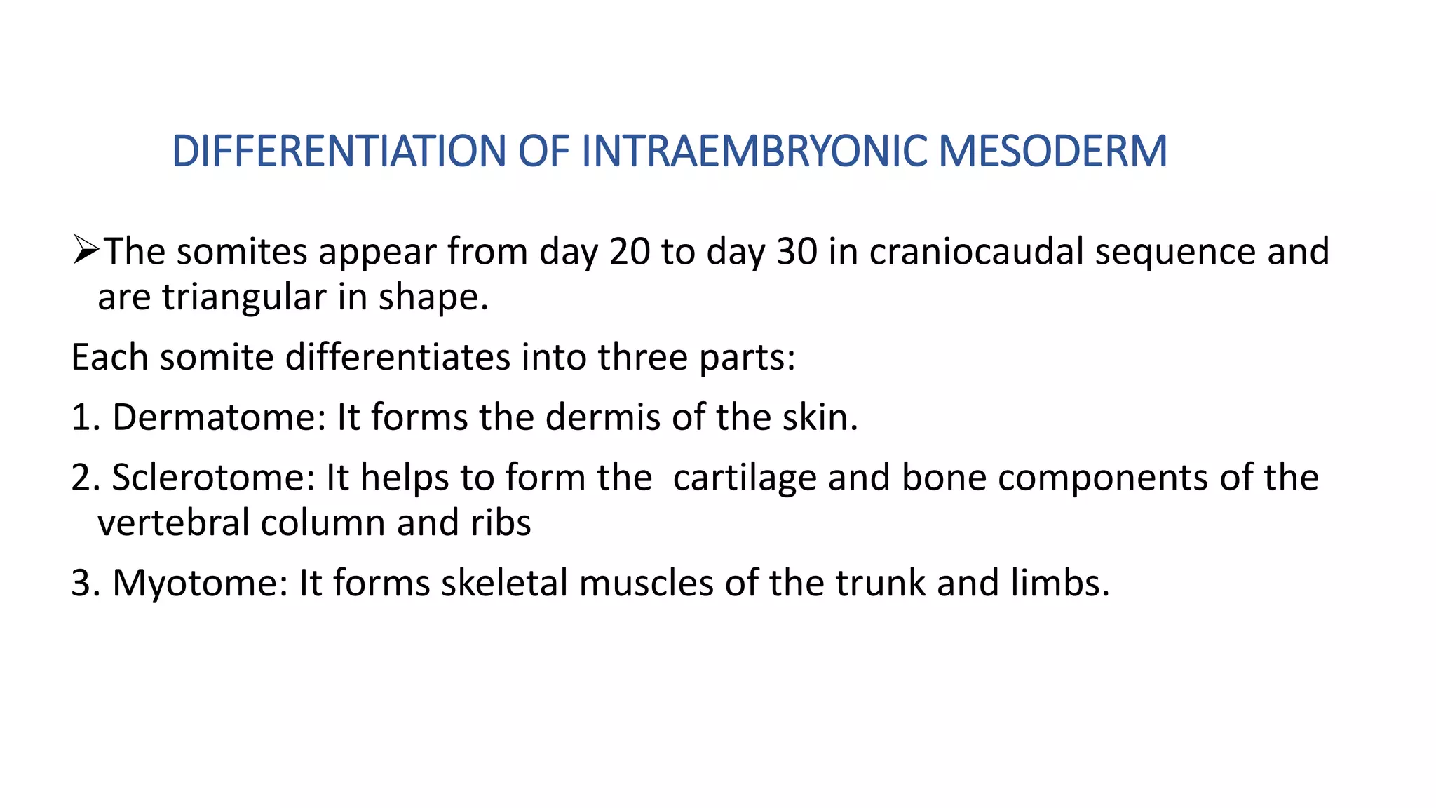 Embryonic period of development | PPTX