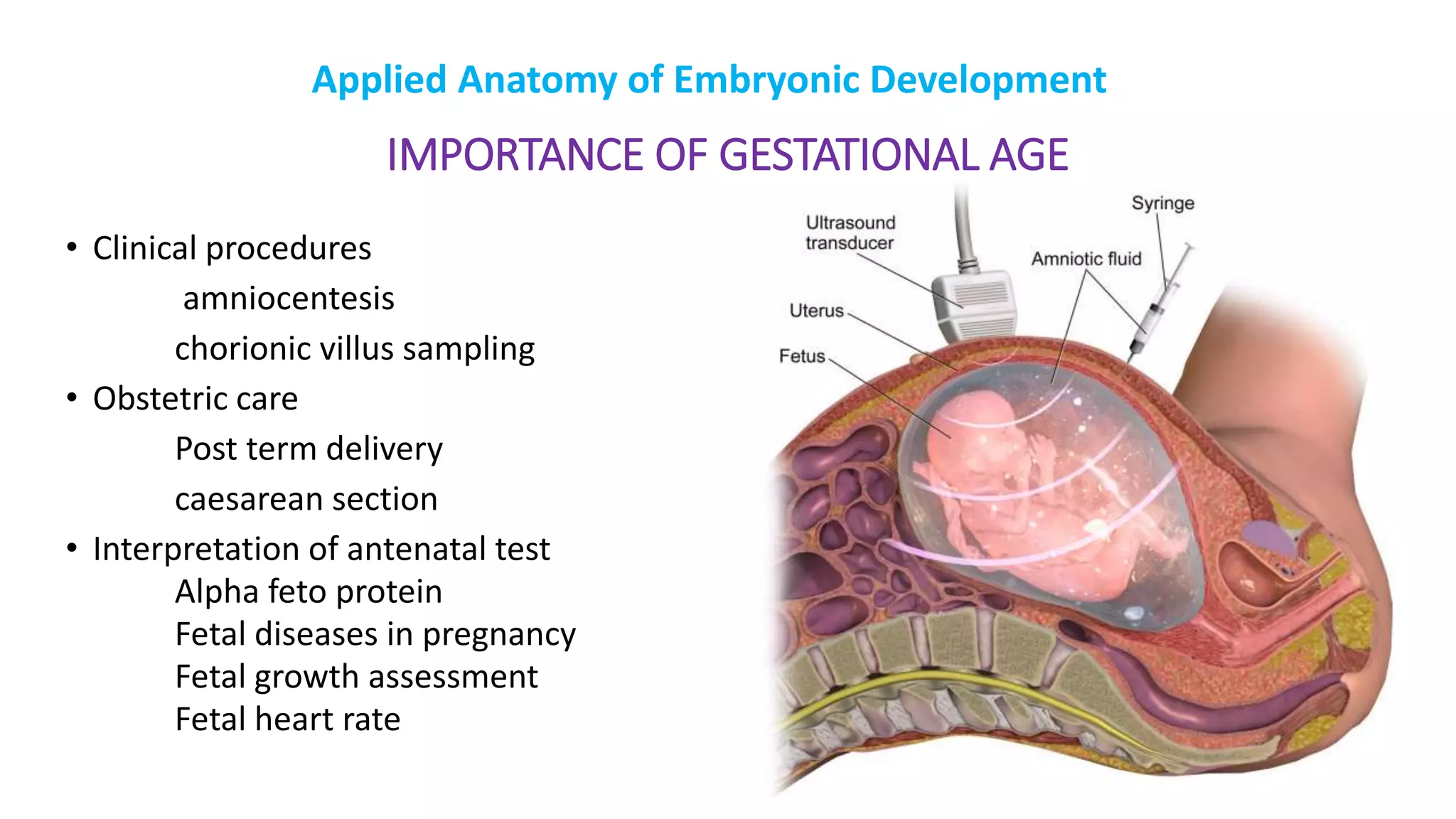 Embryonic period of development | PPTX