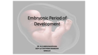 Embryonic period of development | PPTX