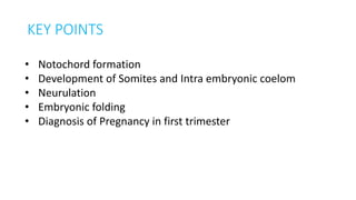 Embryonic period of development | PPTX