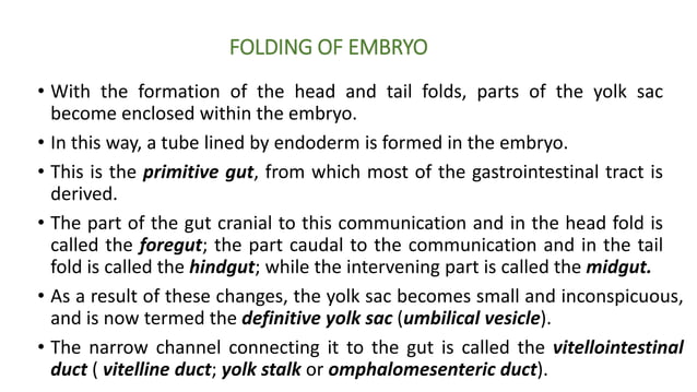 Embryonic period of development | PPTX