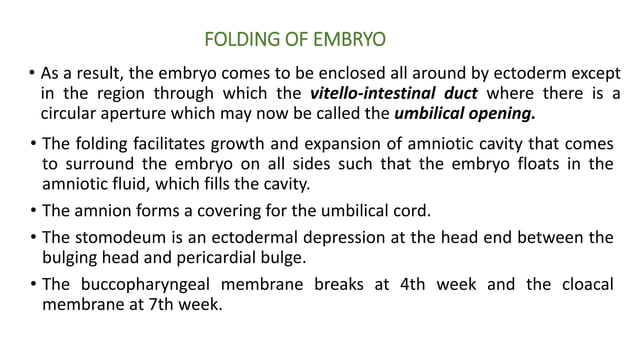 Embryonic period of development | PPTX