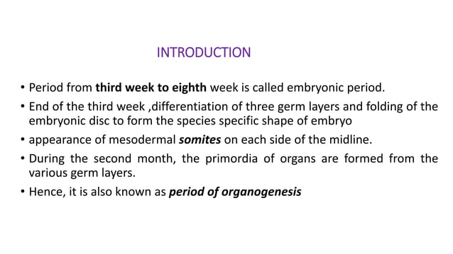 Embryonic period of development | PPTX