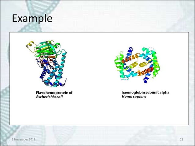 Dynamic Programming And Pairwise Sequence Alignment Pptx Programming Languages Computing