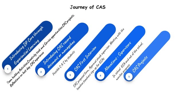 DP CAS Introduction | PPT