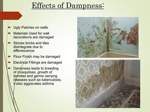 DPC, Back Filling and Plinth Protection.pptx