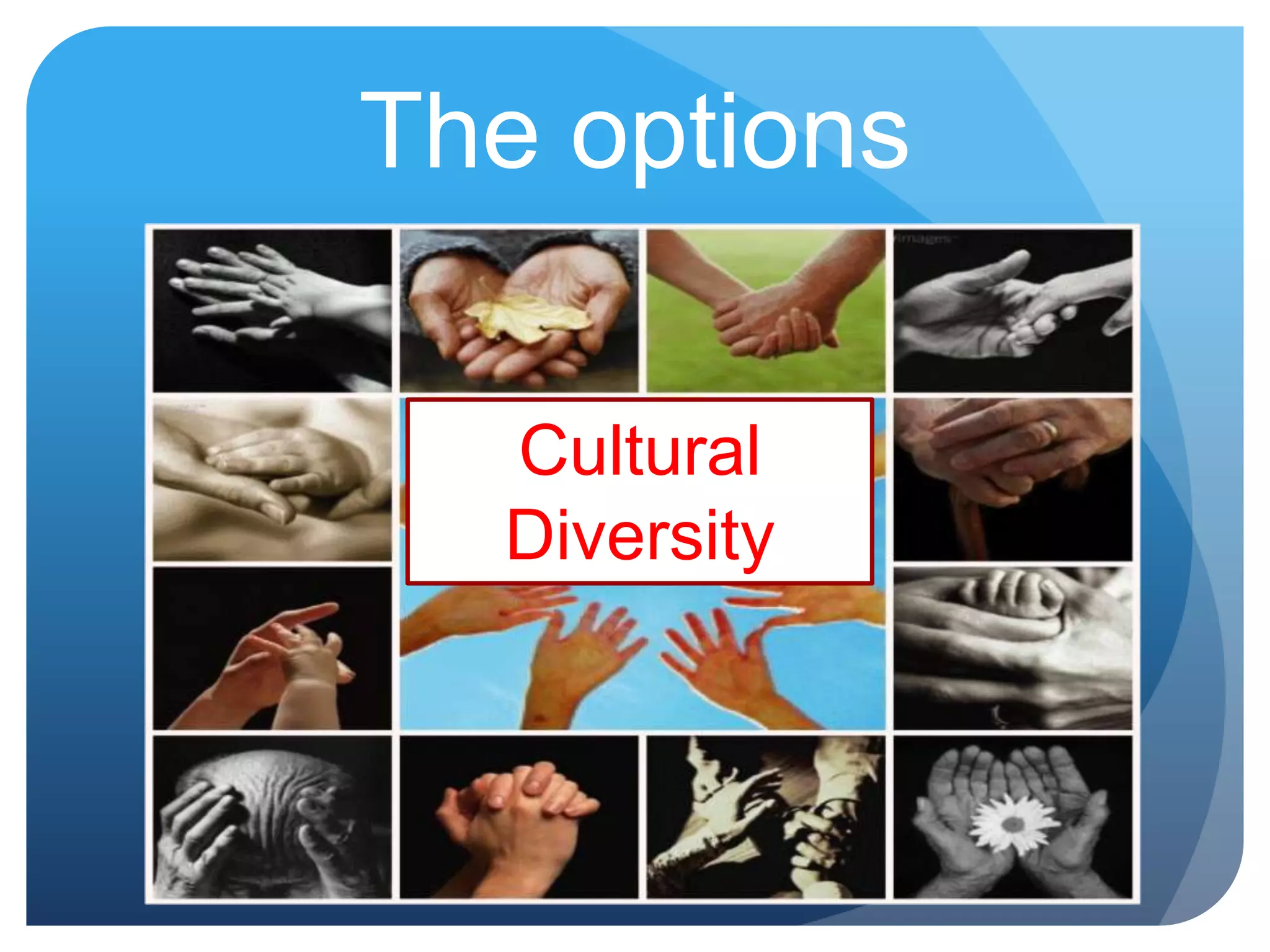 IB Diploma English B course overview | PPTX